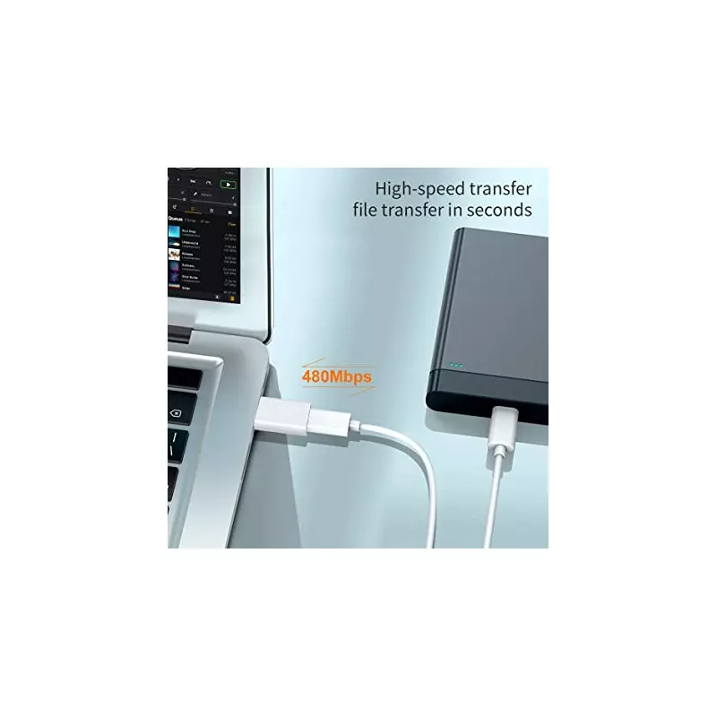 USB 3.0 (han) til USB-C (hun) adapter