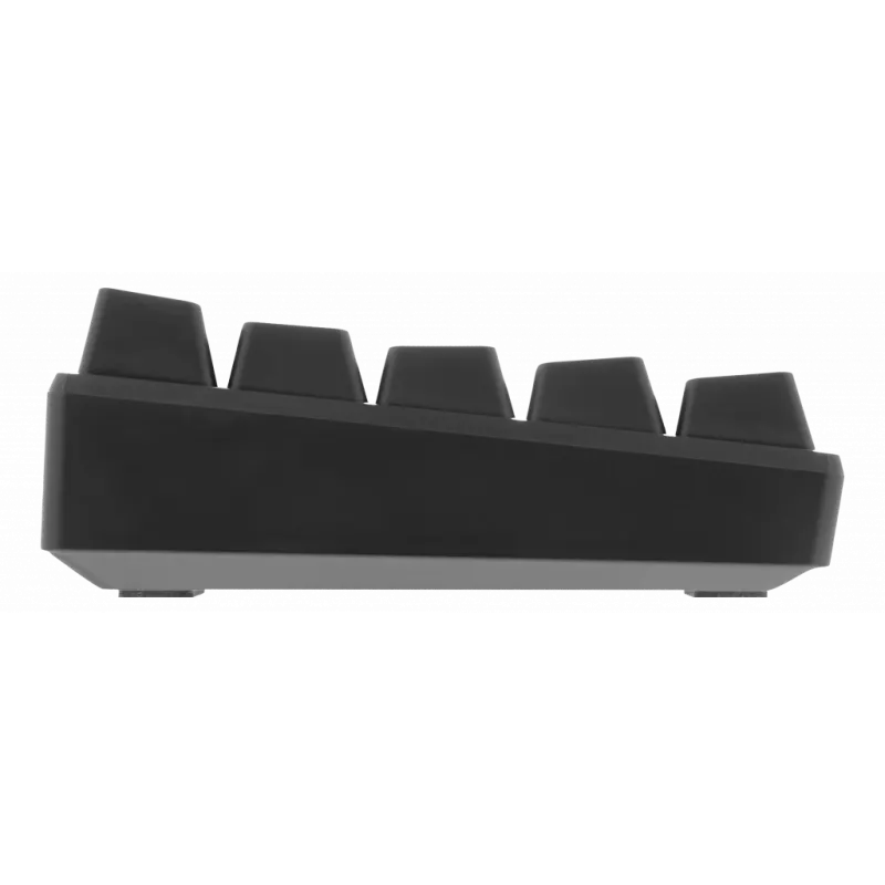 Mini mechanical keyboard 60% PANNordic RGB brown switch